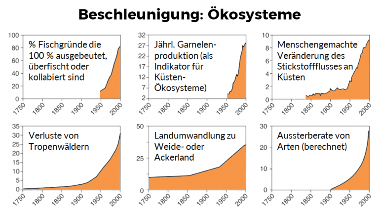 Ressourcen der Erde – JETZT HANDELN