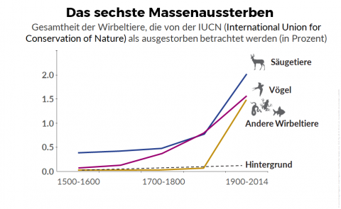 Artensterben – JETZT HANDELN